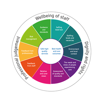 Safe staffing programme: Information for adult services | Care ...