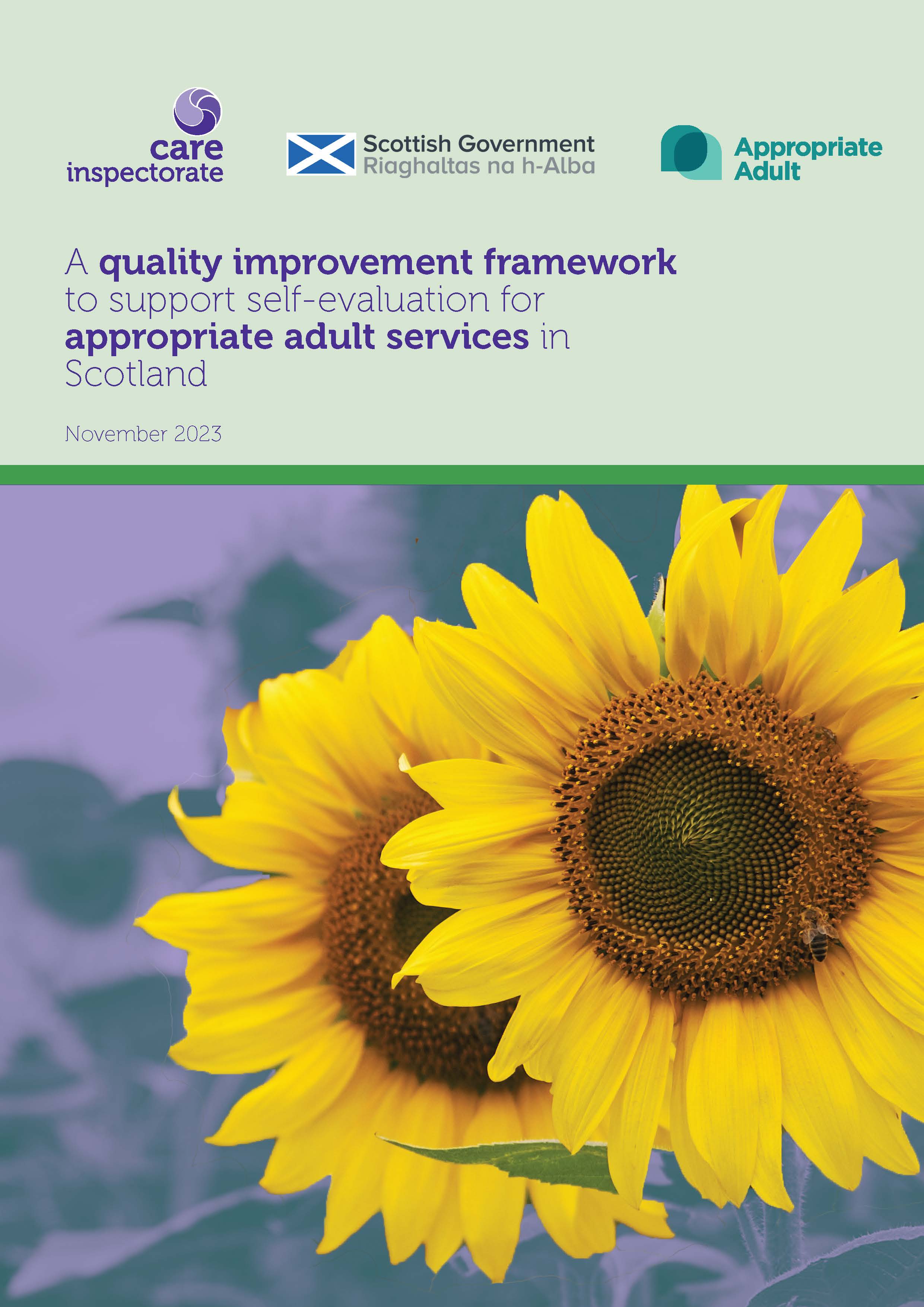 A quality improvement framework to support self-evaluation for ...
