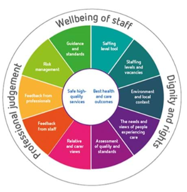 Safe staffing programme: Information for adult services | Care ...